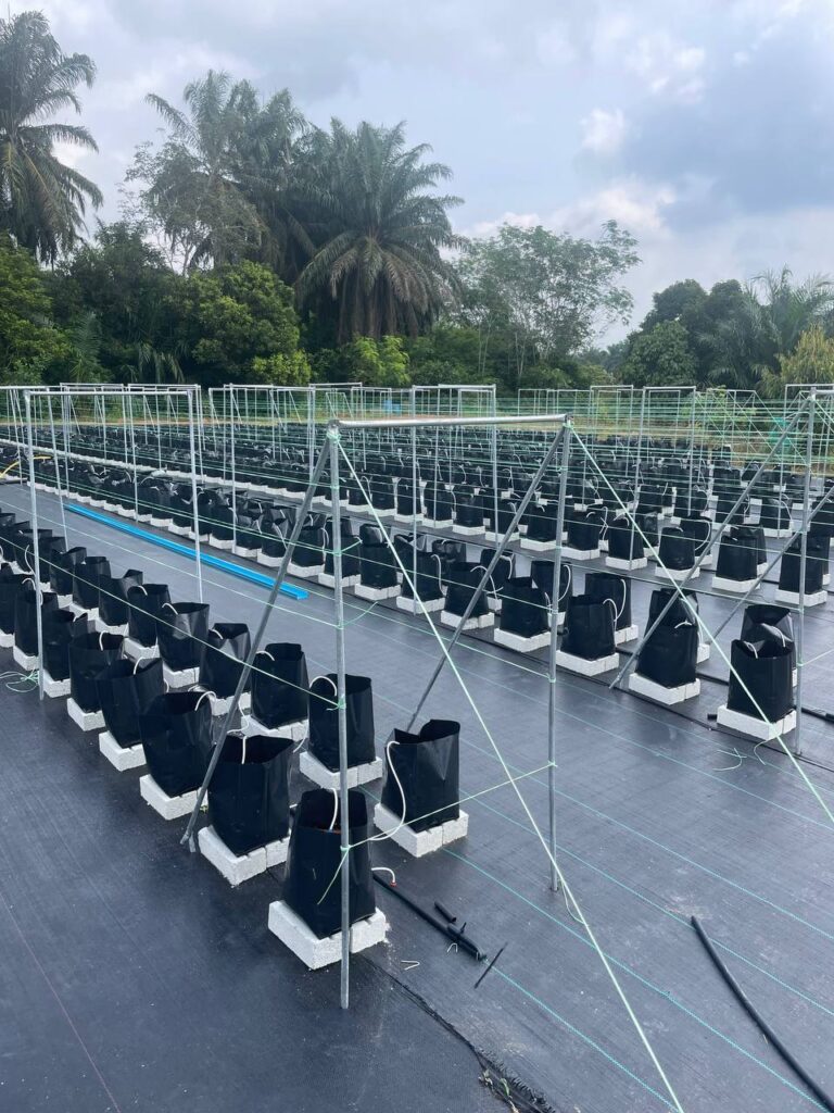 TUNAS GROW SYNERGY SDN. BHD. - Hubungi Kami